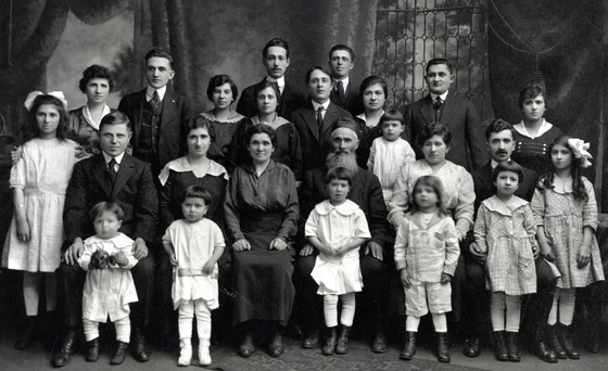 Suttleman Family Odyssey | Treelines